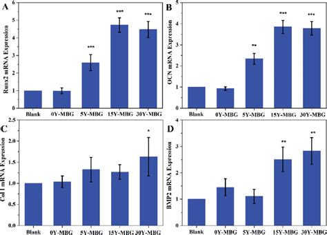 Bone Related Gene Expression Of Bmscs After Cultured For 7 Day A