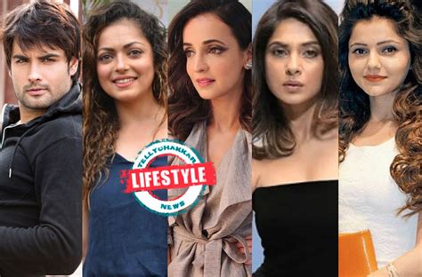 Vivian Dsena Has Something In Common With Drashti Dhami Sanaya Irani Jennifer Winget And