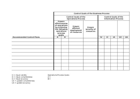 Control Matrix Template Acct221 Control Goals Of The Business Process Control Goals Of The