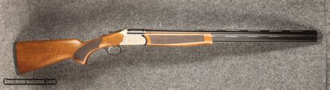 Legacy Sports International Pointer Acrius 12 Gauge Or 20 Gauge