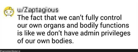 Admin Privileges ProgrammerHumor Io