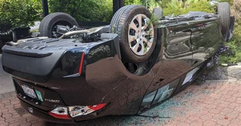 거미 때문에 전복된 자동차