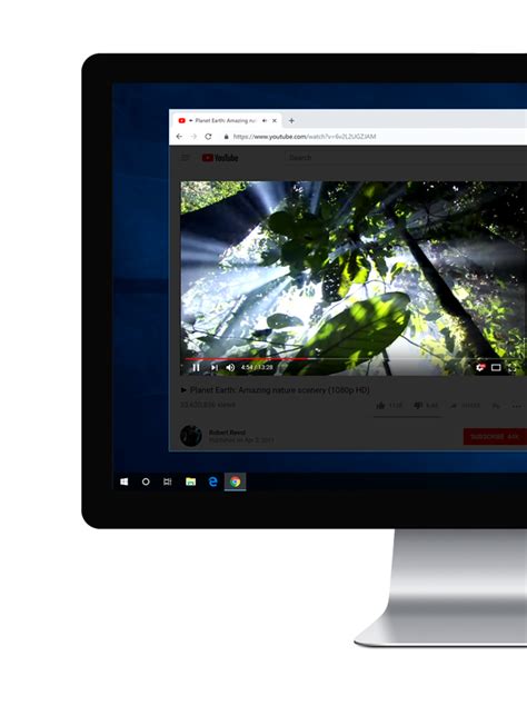 Turn Off The Lights Polypane Extension