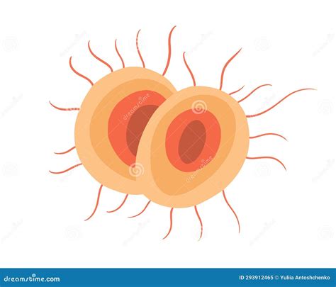 Vector Isolated Illustration Of Gonorrhea Pathogen Under A Microscope