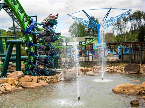 Take A Look Inside Dollywoods New Wildwood Grove Expansion