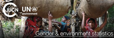 Expert Consultation On Gender Environment Statistics Sustainable Developments Goals