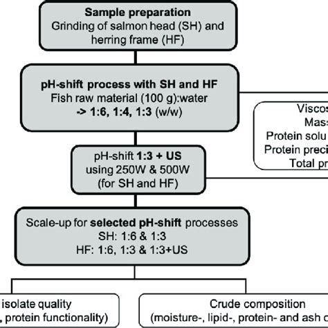 Schematic Overview Of The Workflow Us Additional Ultrasound Step With