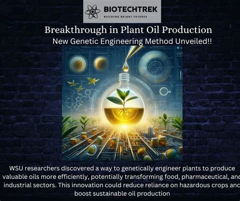 Dhruv Jain On Linkedin Woah 🚀