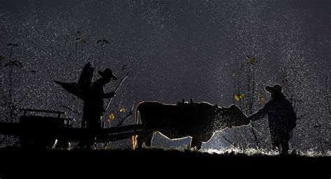 김가중 선착순 200작가 하회마을테크니컬촬영회 한국사진방송 운영회의 결과 한국사진방송에선 28일