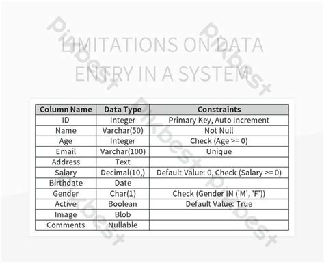 Understanding Restrictions On Data Input Within A System Excel