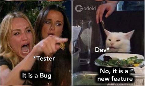 coding humour softwareengineering softwaredevelopment tech career