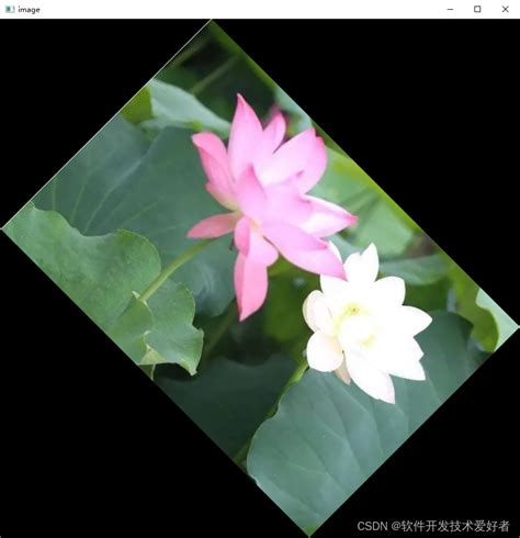 Python第三方cv2库介绍 Csdn博客