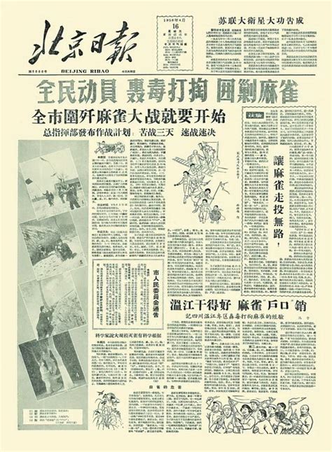 一场全民参与的“除四害”运动：麻雀是怎么被“平反”的？ 北晚新视觉