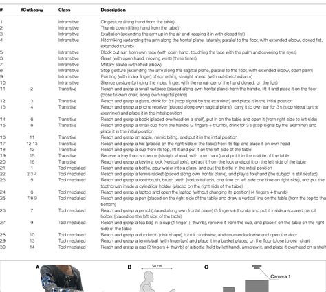 Table 1 From Unvealing The Principal Modes Of Human Upper Limb