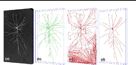 Figure 1 From Neuron Segmentation Using 3d Wavelet Integrated Encoderdecoder Network Semantic