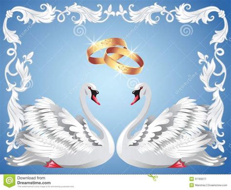 Wedding Rings And Two Swans Illustration