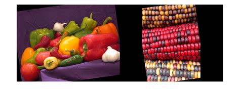 Augment Apply Identical Random Transformations To Multiple Images