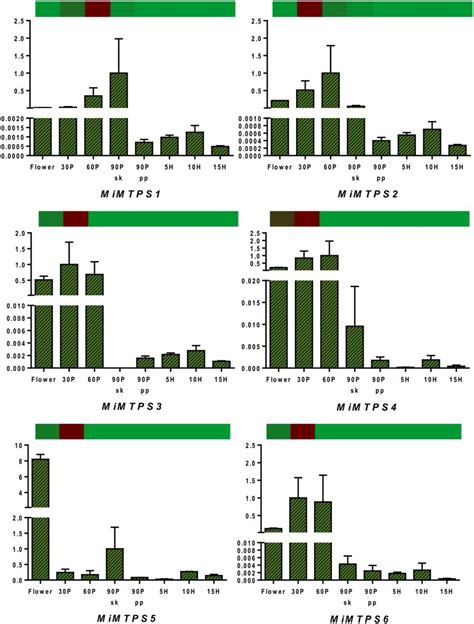 Quantitative Reverse Transcriptase Pcr Validation Of Various