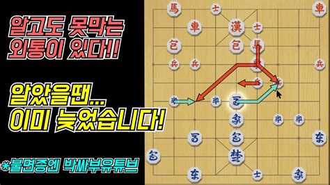 알고도 못막는 외통이 있다 YouTube