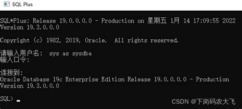 Oracle19c入门到熟练005 操作前准备oracle Oracle Data 19c需要激活吗 Csdn博客