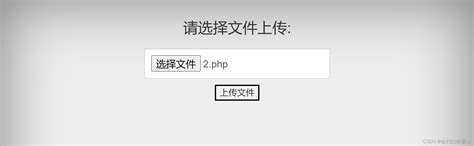 Webshell文件上传漏洞分析溯源墨者学院墨者学院文件上传 Csdn博客 Webshell文件上传漏洞分析溯源墨者学院墨者学院文件上传 Csdn博客