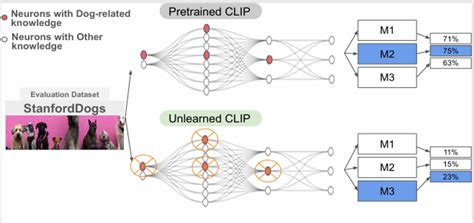 Rethinking Few Shot CLIP Benchmarks A Critical Analysis In The Inductive Setting ICCV