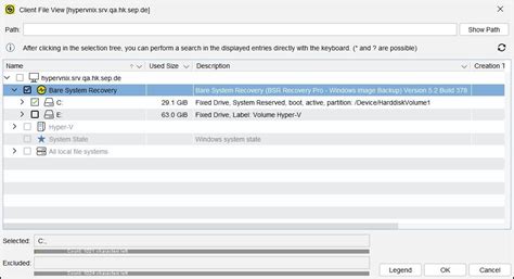 Sourcesep Sesam Bsr Pro Backup Configuration Sepsesam