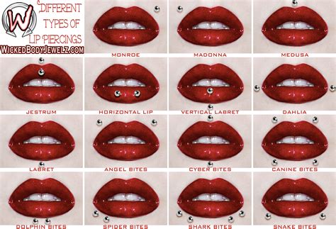 Lip Piercing Meanings Symbolism At Rebecca Bowens Blog