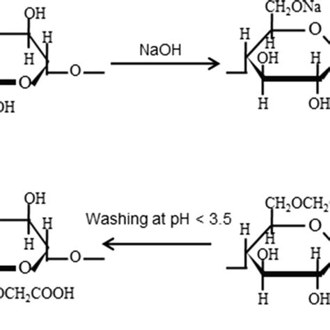 Chemical Modification Reaction Of Cellulose Download Scientific Diagram