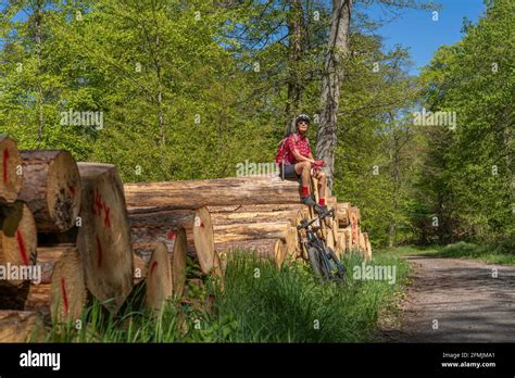 Jeune Femme Caucasienne Assise Dans Un Arbre Banque De Photographies Et Dimages Haute