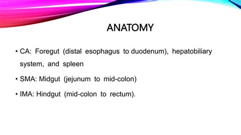 Acute Mesenteric Ischemia Anatomy Pathophysiology And Management Pptx
