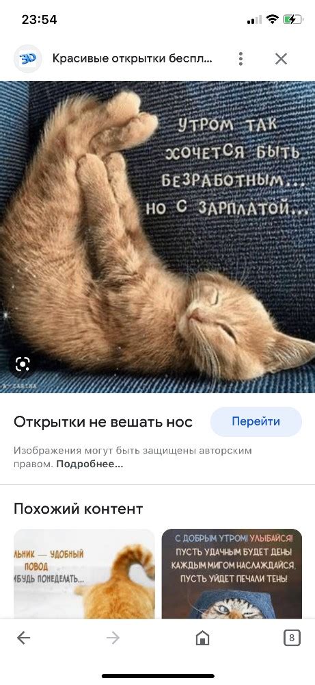 Создать мем сонный котик доброе утро с кошками смешные с добрым утром смешные Картинки