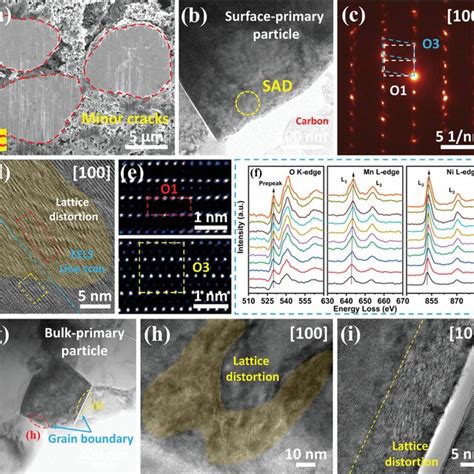 Schematic Diagram Of The Phase Transitions Of Polycrystalline Co‐free
