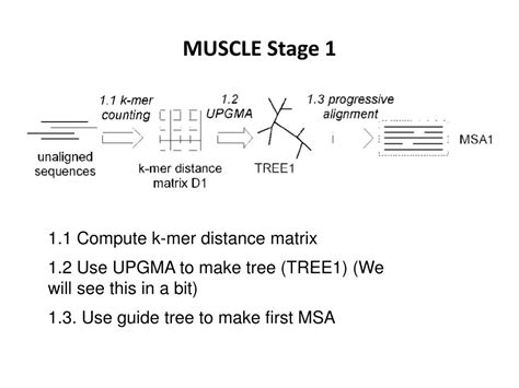 Ppt Practical Multiple Sequence Algorithms Powerpoint Presentation