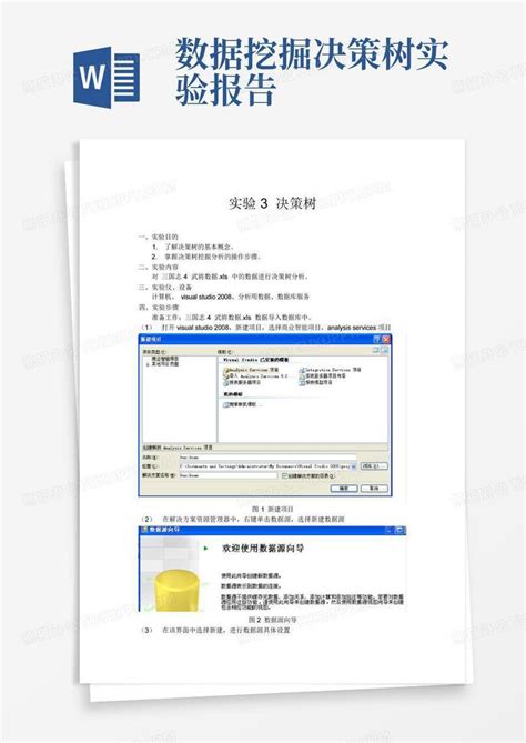 数据仓库与数据挖掘 决策树实验word模板下载编号qppgxmgk熊猫办公