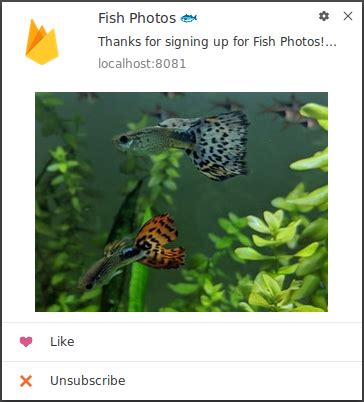 Web Notifications Api Support Now Available In Fcm Send V Api