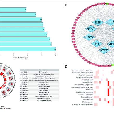 Transcription Factor Regulatory Networks And Functional Enrichment Download Scientific