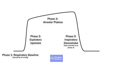Capnography Waveforms Normal Waveforms Explained Youtube