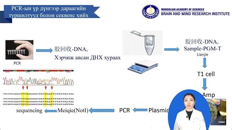 Молекул системийн нейро сайнс контент №2 Полимеразын гинжин урвал Youtube