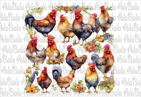 Chickens Png Sublimation Graphics Graphic By Alabala · Creative Fabrica