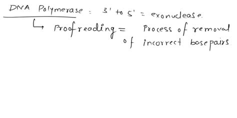 SOLVED What Is The Function 0f 3 To 5 Exonuclease Activity In DNA Polymerases What Would Be