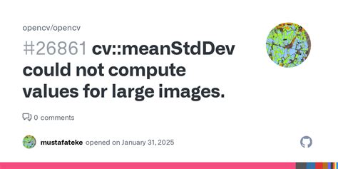 Cvmeanstddev Could Not Compute Values For Large Images · Issue