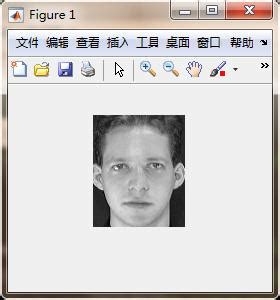 基于PCA和SVM的人脸识别 灰信网软件开发博客聚合