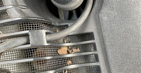 Looks Like These Two Should Be Connected Album On Imgur