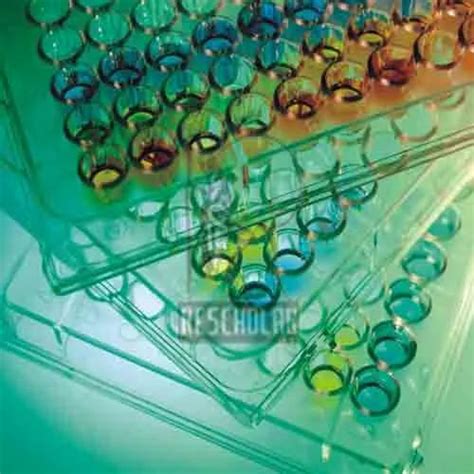 Sorting Tray At Best Price In Ambala By Rescholar Equipment Id