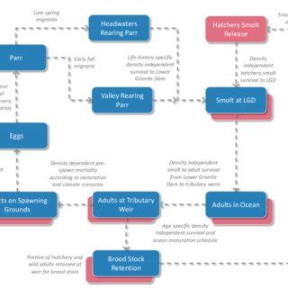 CONCEPTUAL DIAGRAM OF THE LIFE CYCLE MODEL LCM STRUCTURE STACKED Download Scientific Diagram