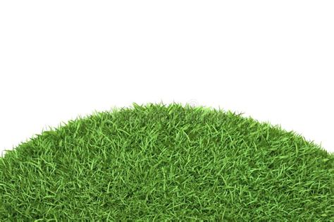 A Perfectly Shaped Mound Of Vibrant Green Grass Creating A Small Hill