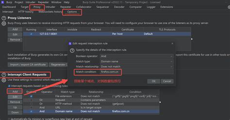 BurpSuite 网络安全知识库