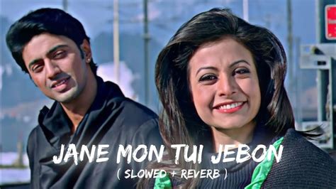 Jane Mon Tui Jebon Slowed Reverb Song Bengali Lofi Song Dev And Koyel Romantic Song 😍😍