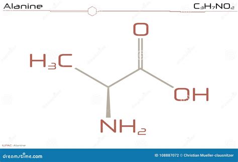 Molecule Of Alanine Stock Vector Illustration Of Biology 108887072